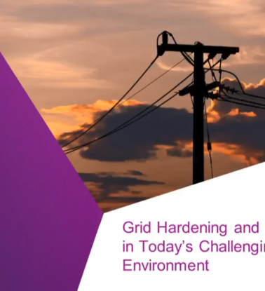 Distribution Line Design | Leidos