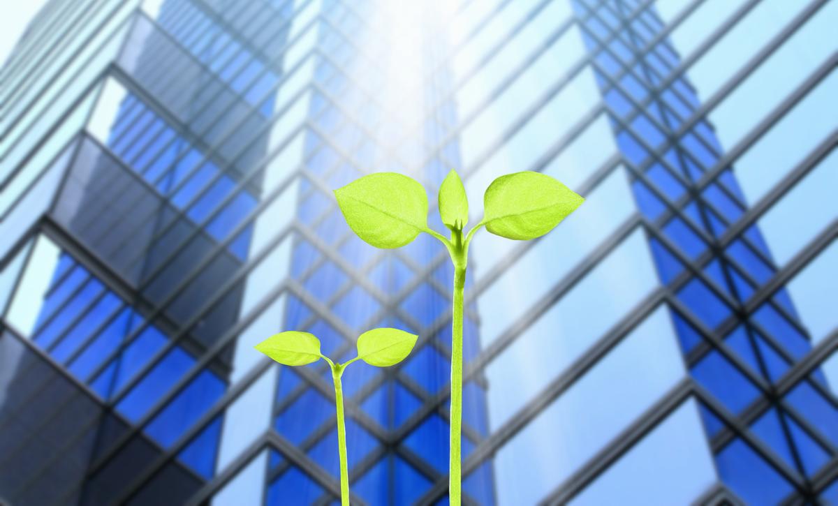 Energy Efficiency Program Delivery | Leidos