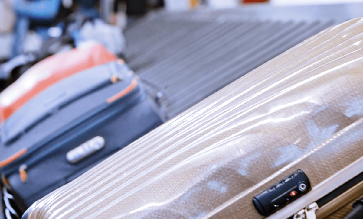 Checked Baggage | Leidos